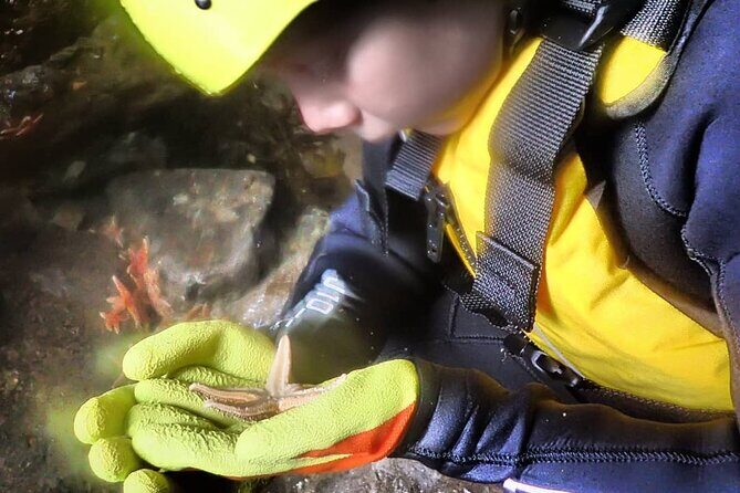 Tenby Coasteering Adventure with expert guides - Who Should Consider This Tour?