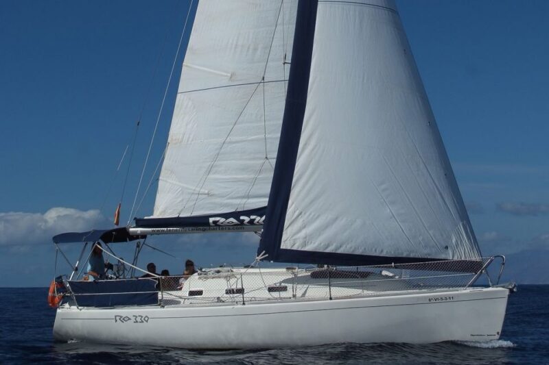 Tenerife: 3 &-6 Hour Private Whale & Dolphin Watching - FAQ