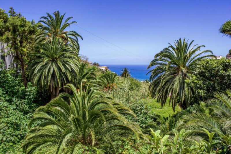 Tenerife: Anaga Rural Park Private Tour - FAQ