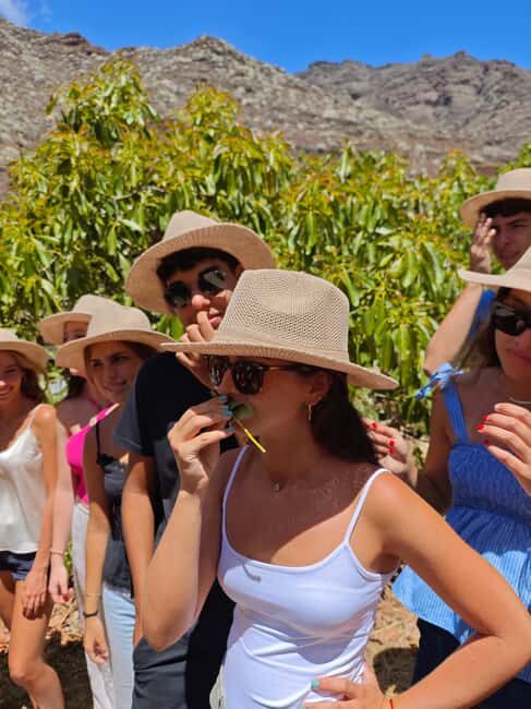 Tenerife: Avocado Farm Tour with Tasting Menu & Wine - Exploring the Tenerife Avocado Farm Experience