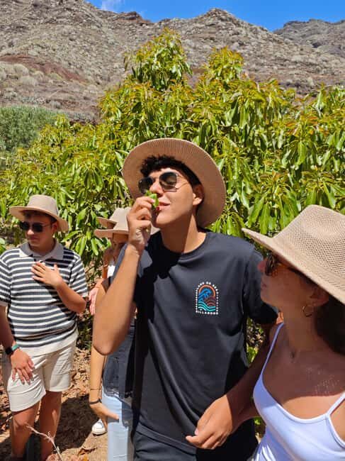 Tenerife: Avocado Farm Tour with Tasting Menu & Wine - The Sum Up