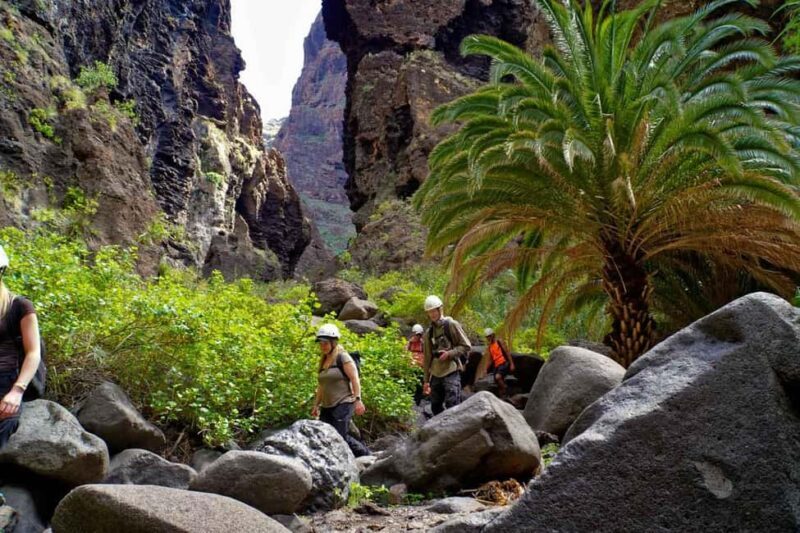 Tenerife Barranco de Masca: Guided hike + boat ride + transport - Key Points