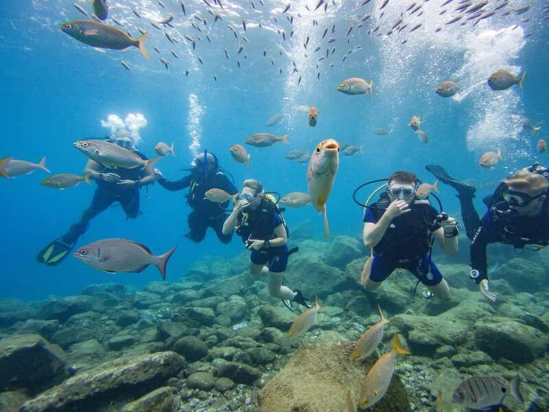 Tenerife: Beginner Scuba Dive Experience - What’s Included & How It Adds Value