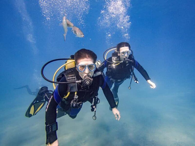 Tenerife: Beginner Scuba Dive Experience - Who Is This Tour Best For?