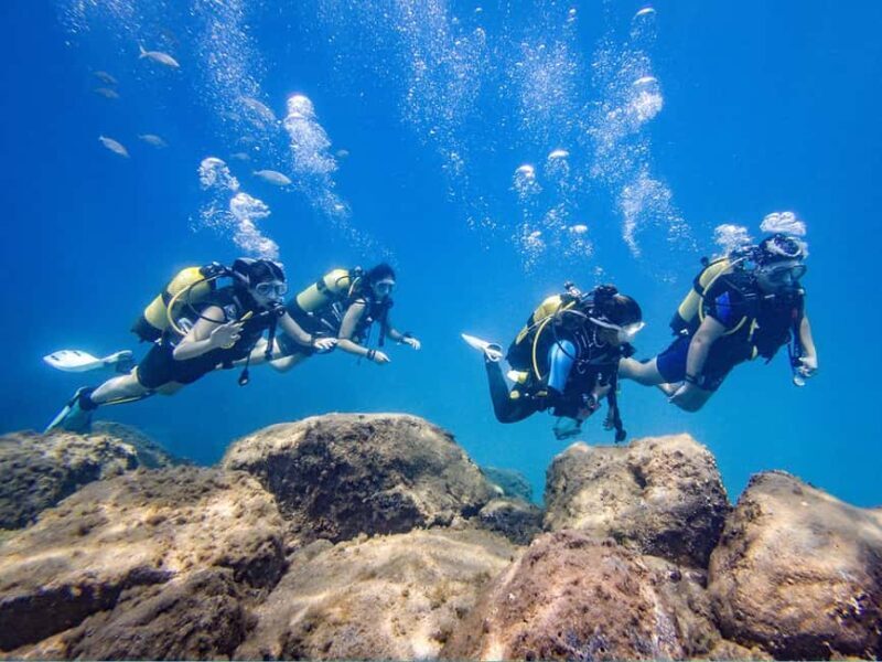 Tenerife: Beginner Scuba Dive Experience - Final Thoughts