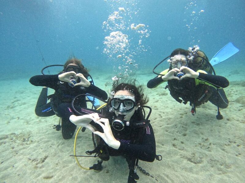 Tenerife: Beginner's Dive at a Spot with Turtle Sightings - What You’ll Experience Underwater