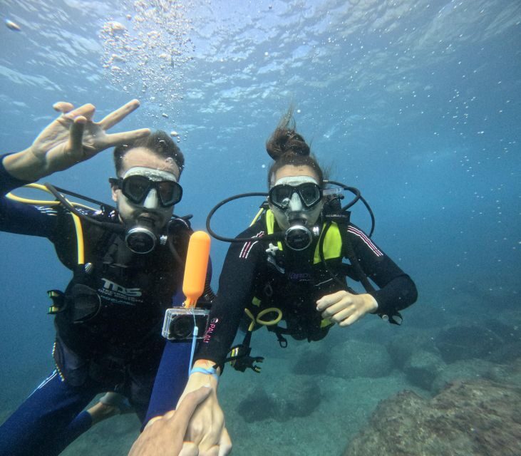 Tenerife: Beginner's Dive at a Spot with Turtle Sightings - Why This Tour Is Worth Considering