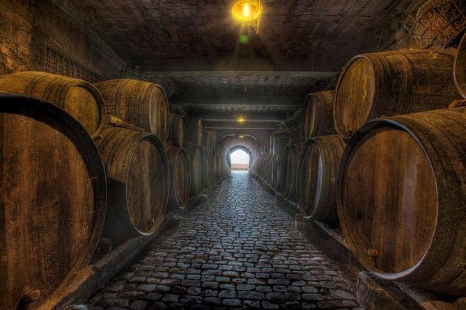 Tenerife Bodegas Monje Winery Tour with Wine and Cheese Tasting - Who Is This Tour Best For?