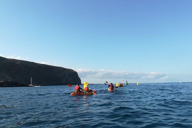 Tenerife by Kayak Adventure in small group - Tenerife by Kayak Adventure in Small Group: An In-Depth Review