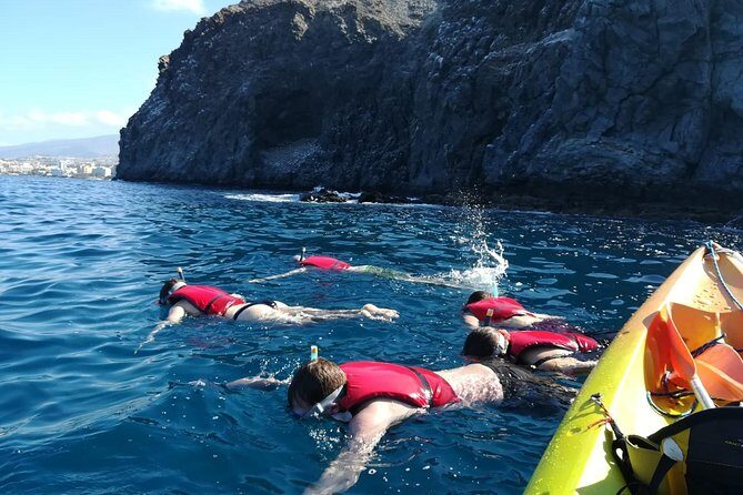 Tenerife by Kayak Adventure in small group - Who Should Consider This Tour?