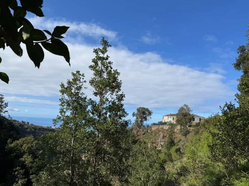 Tenerife: Canary History and Color Potatoes - Who Would Benefit From This Tour?