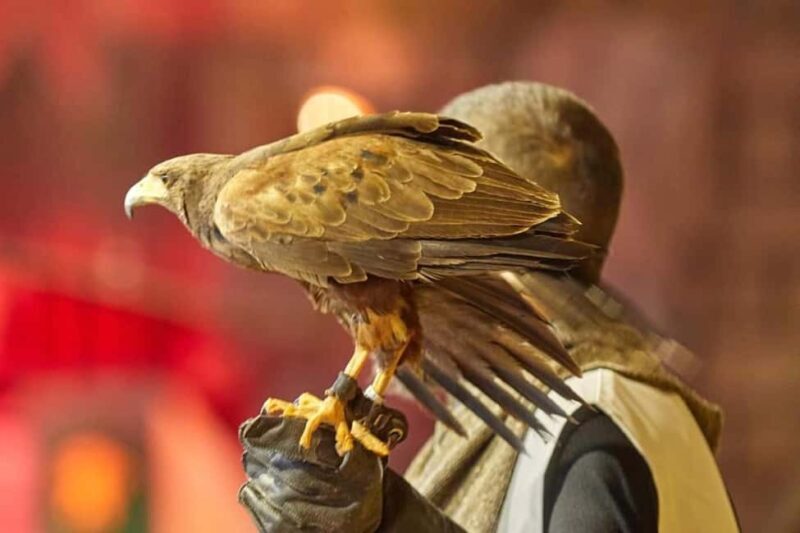 Tenerife: Castillo San Miguel Medieval Show and Banquet - Key Points