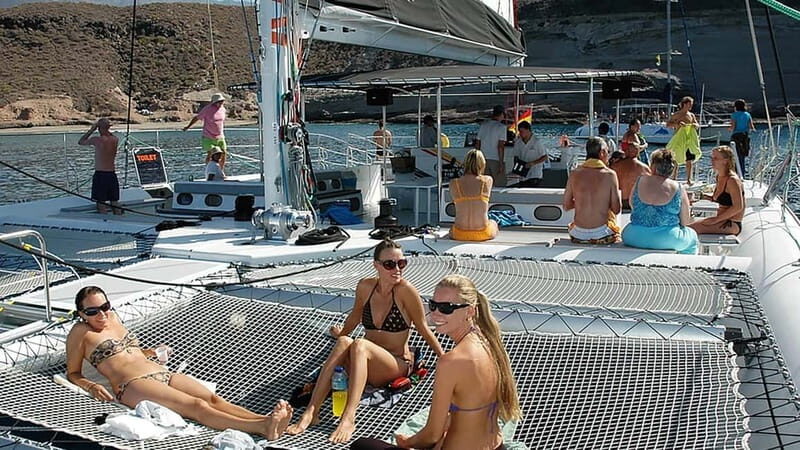 Tenerife: Catamaran Cruise with an Open Bar - The Scenic Highlights & Marine Life