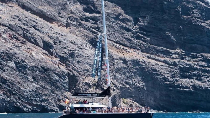 Tenerife: Catamaran Cruise with an Open Bar - The Practicalities & Logistics