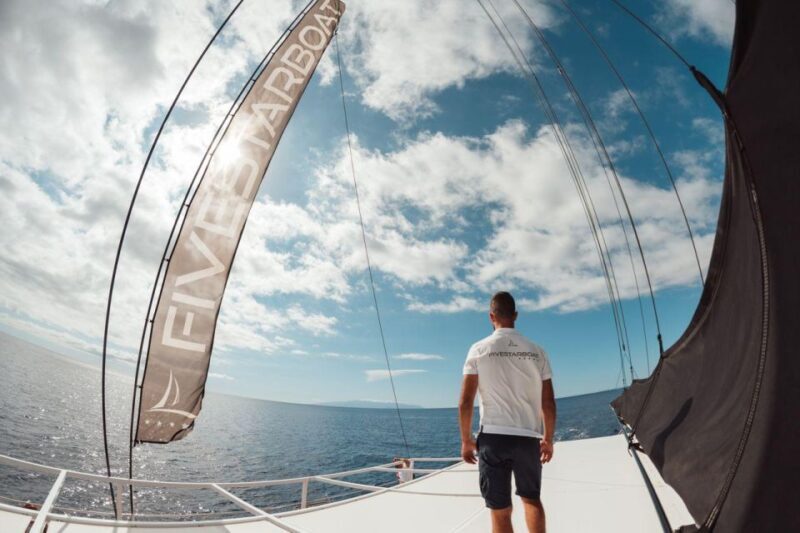 Tenerife: Catamaran Cruise with Brunch and Unlimited Drinks - The Sum Up