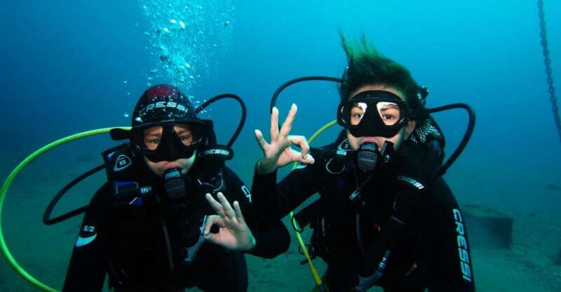 Tenerife: Discover Scuba Diving with Free Photos - Who Would Love This Experience?