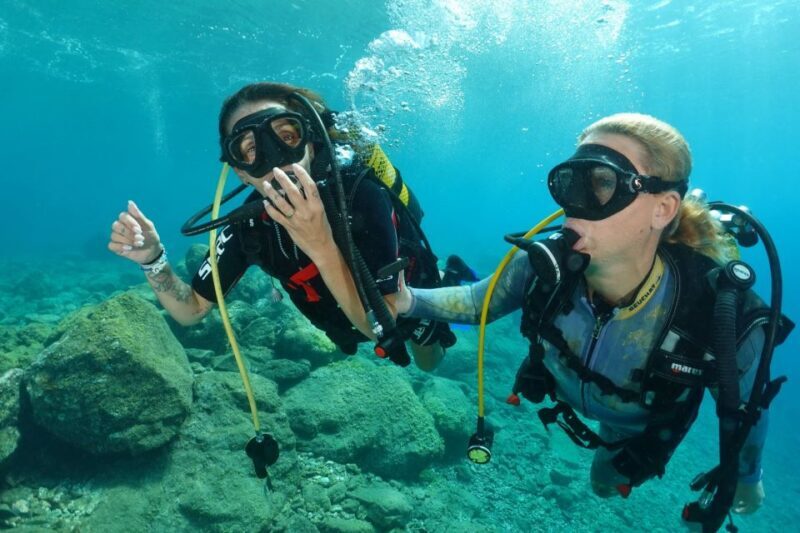 Tenerife : Diving License international in one day - Personal Experience and Instructor Excellence