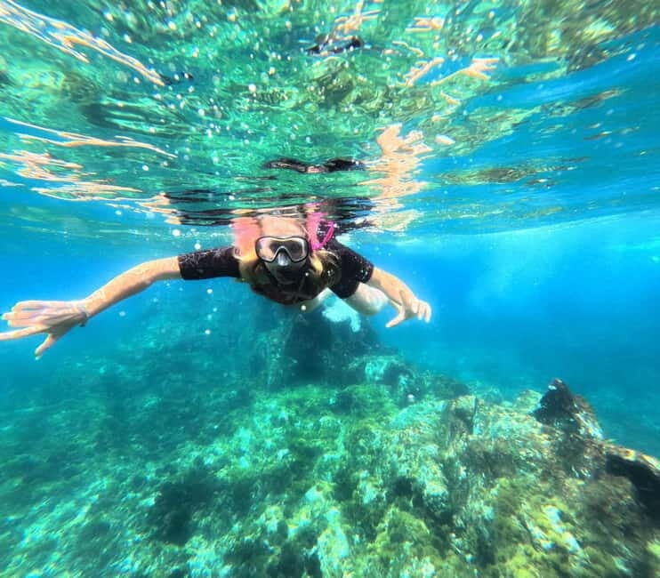 Tenerife: Eco Kayak & Snorkeling - Key Points