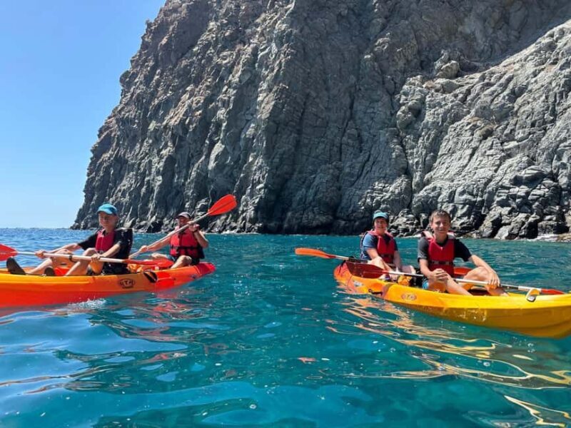 Tenerife: Eco Kayak & Snorkeling - Practical Details and Tips for Travelers