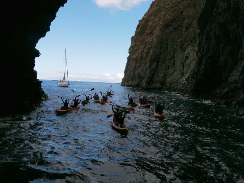 Tenerife: Eco Kayak & Snorkeling - Final Thoughts: Is This Tour Right for You?