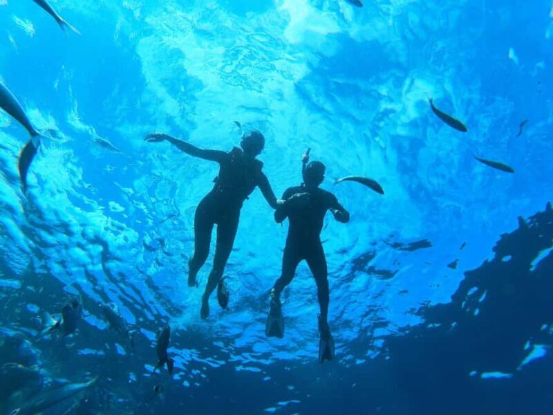 Tenerife: Eco Kayak & Snorkeling - FAQ