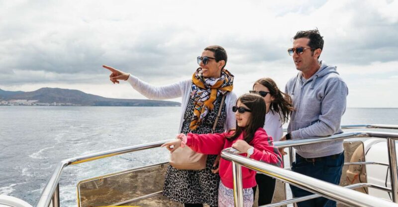 Tenerife: Eco-Yacht Whale and Dolphin Watching and Swimming - The Bottom Line