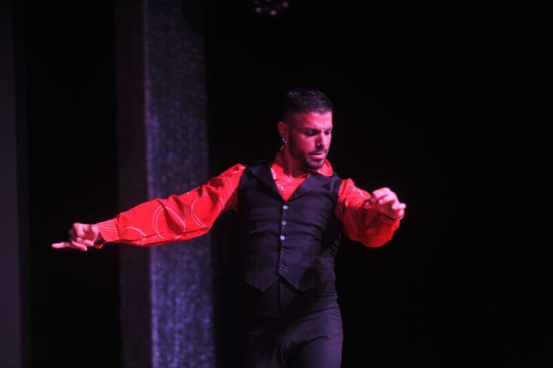 Tenerife: Flamenco Performance at Teatro Coliseo - Key Points
