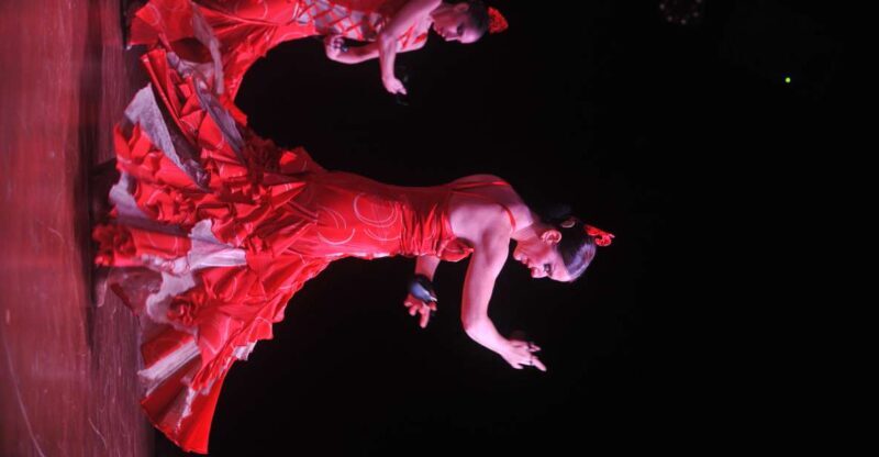 Tenerife: Flamenco Performance at Teatro Coliseo - A Complete Breakdown of the Flamenco Experience