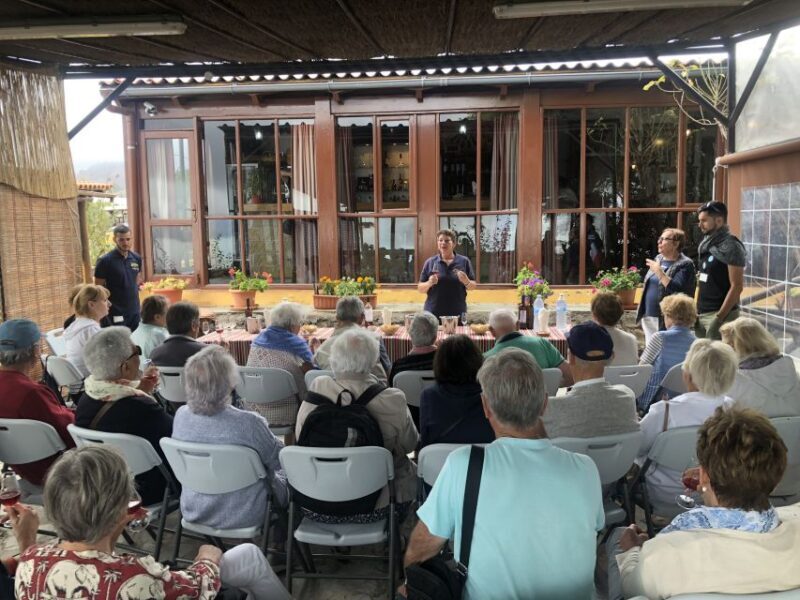 Tenerife: Flavours and Wines of Tenerife Gastronomy Tour - An In-Depth Look at the Tenerife Flavours and Wines Tour