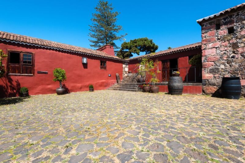 Tenerife: Full-Day Gastronomy and Wine Tour - Final Thoughts