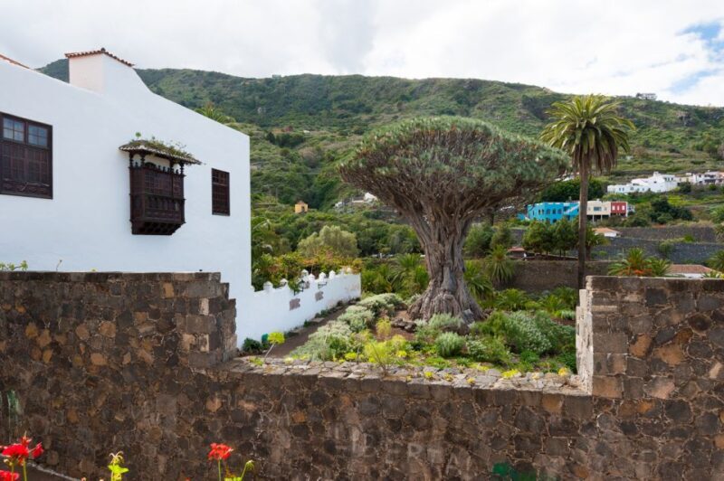 Tenerife: Full-Day Guided Island Tour - An In-Depth Look at the Tenerife Full-Day Guided Tour