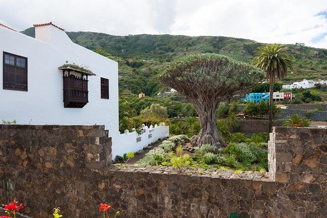 Tenerife Full Island Tour - FAQs