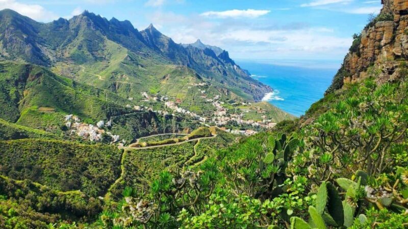 Tenerife: Full Private Island Tour, with departures from the south and north - The Sum Up