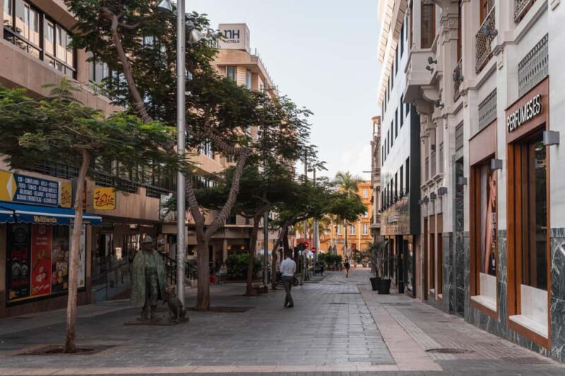 Tenerife: Gourmet Tapas and Wine Tour - Final Thoughts