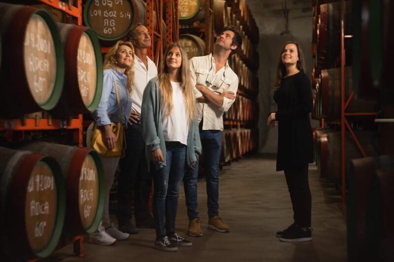 Tenerife: Gran Canaria Full-Day Guided Tour with Aquarium - An In-Depth Look at the Tour Experience