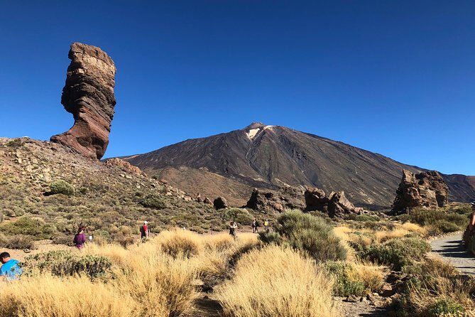 Tenerife Grand Tour: including Teide National Park and Masca - Final Thoughts