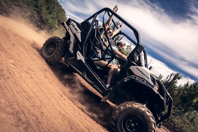 Tenerife Guided Buggy Discovery Tour Around Mount Teide - An In-Depth Look at the Tenerife Guided Buggy Discovery Tour