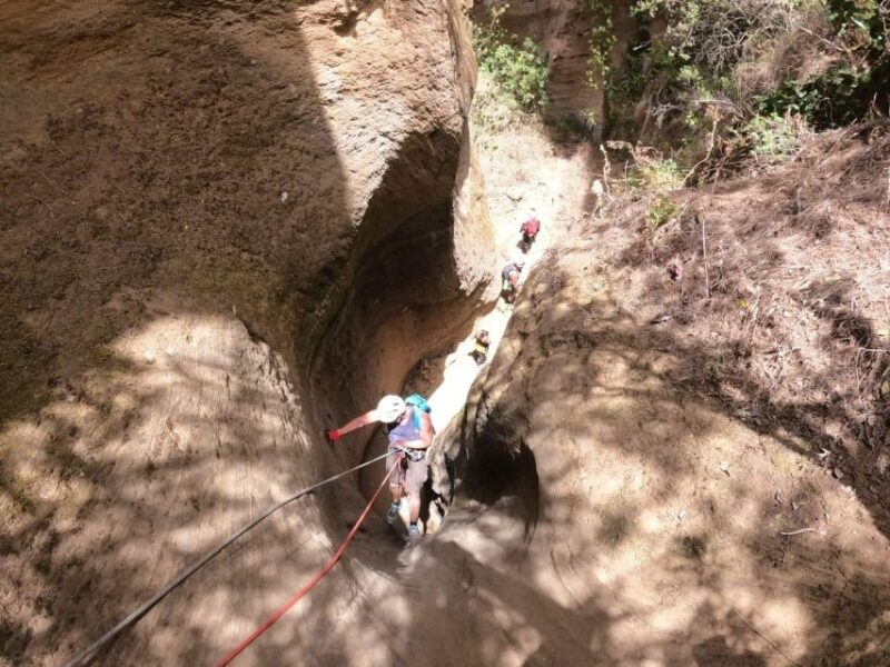 Tenerife: Guided Canyoning Experience in Los Arcos - Final Thoughts