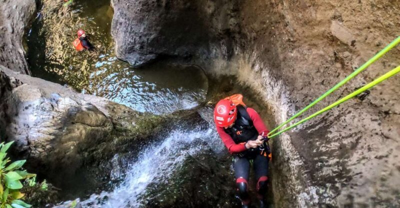 Tenerife: Guided Canyoning Experience - An In-Depth Look at What to Expect