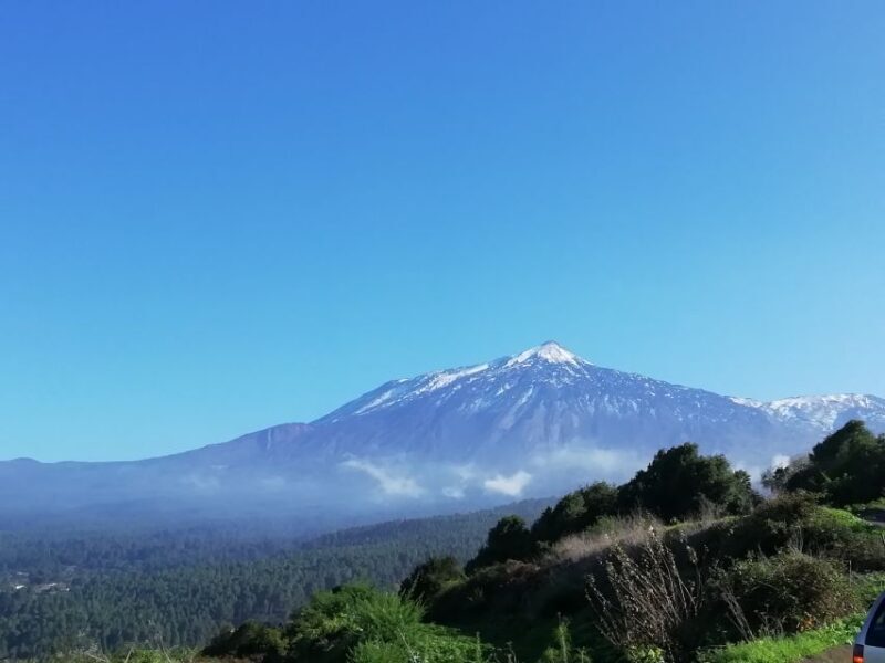 Tenerife: Guided Horseback Riding Tour to the Lomo Forest - An Authentic Look at the Horseback Riding Experience in Tenerife