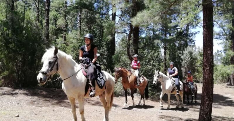 Tenerife: Guided Horseback Riding Tour to the Lomo Forest - Authentic Experiences Shared by Guests