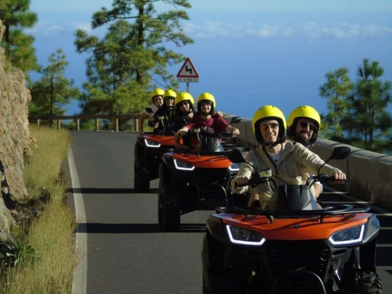 Tenerife: Guided Quad Bike Tour to Teide National Park - Who Will Love This Experience?