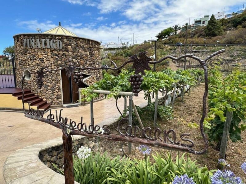 Tenerife: Guided tour with tasting of 6 wines - Analyzing the Value