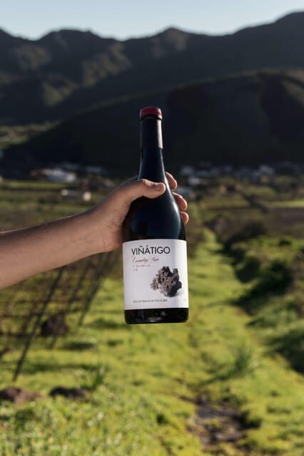 Tenerife: Guided tour with tasting of 6 wines - FAQs