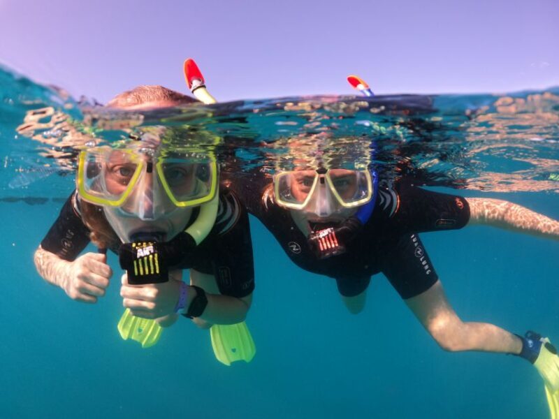 Tenerife: Half-Day Snorkeling Tour - What Makes This Snorkeling Tour Stand Out?
