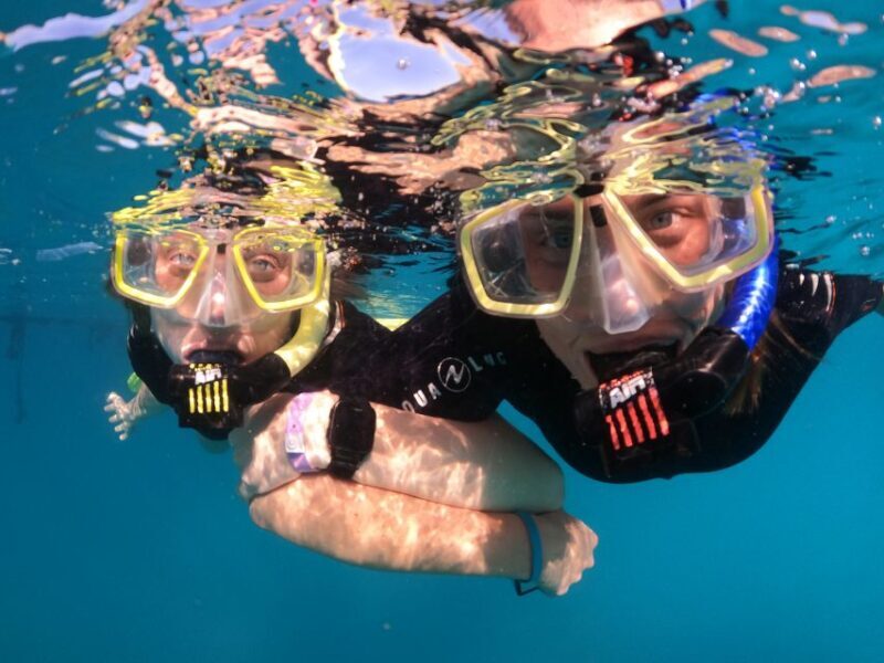Tenerife: Half-Day Snorkeling Tour - Pricing and Value