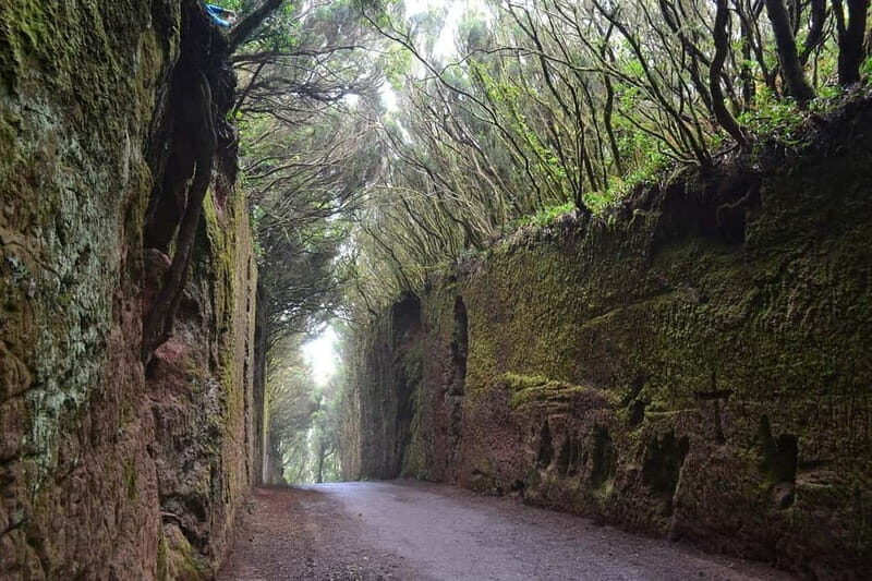Tenerife Hidden Gem: Anaga Hike, Bajamar Pools & Cocktail - Final Thoughts