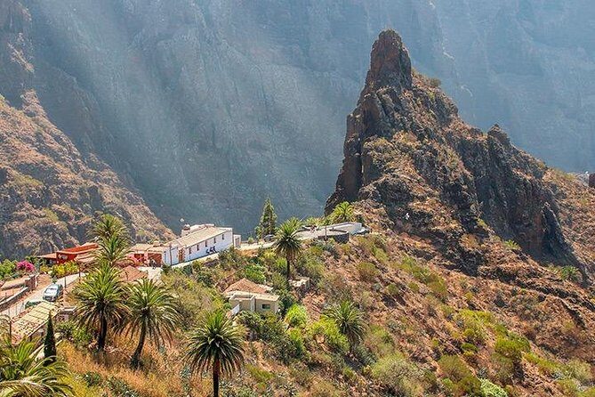 Tenerife Highlights Full-Day Tour - Review Summary Based on Real Guest Feedback