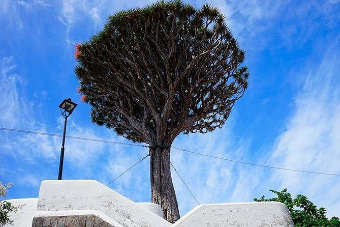 Tenerife Highlights Full-Day Tour - Frequently Asked Questions