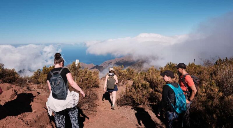 Tenerife: Hike Above Masca in Enchanted Forest with Pick-up - Guide & Group Experience
